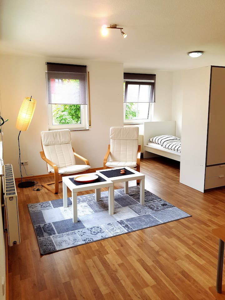 New Renovated 1 Room Flat In Besigheim-ottmarsheim - Besigheim