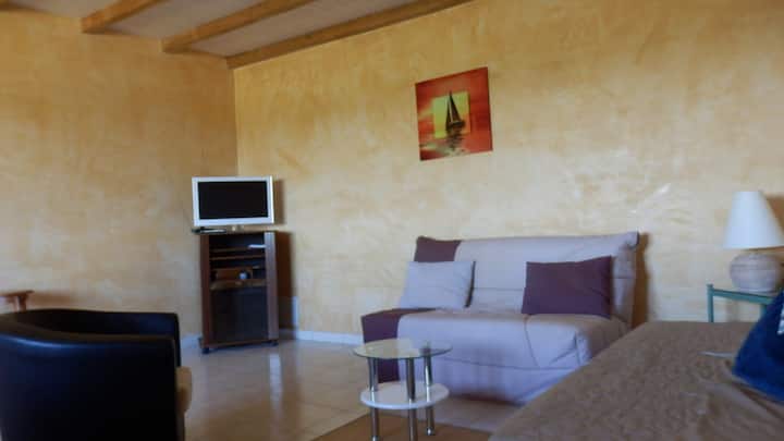 Gîte Au Cœur Du Vignoble Avec Plan D'eau - Vallet