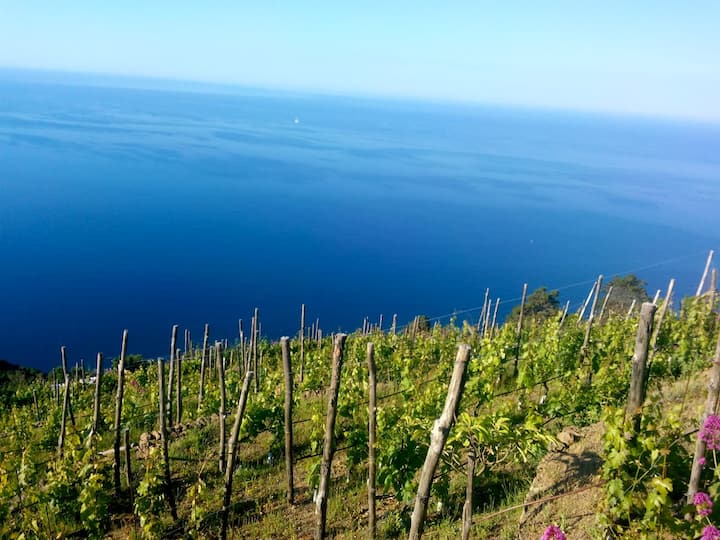 The5terre "Centro/urban" - Riomaggiore