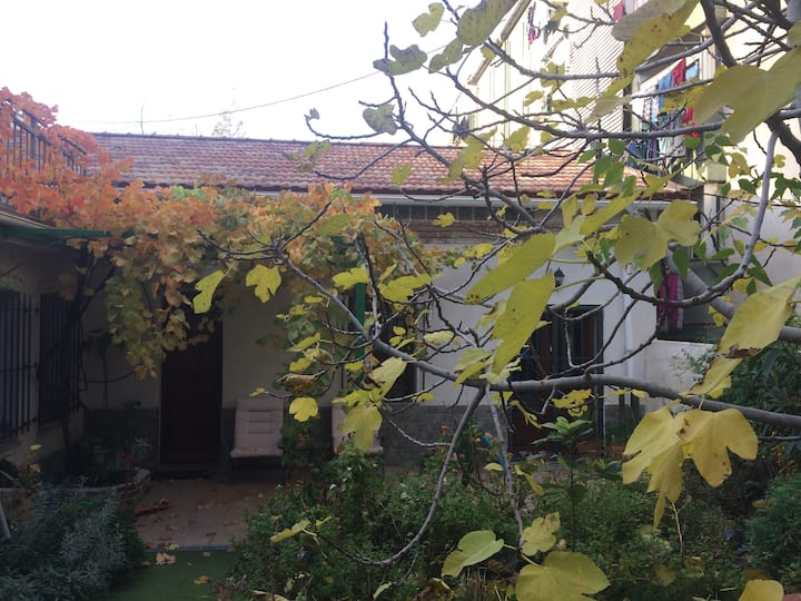 Cuarto De Huéspedes Con Jardín En Madrid - Madrid