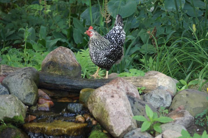 Private Garden Level Guest Suite - Wisconsin
