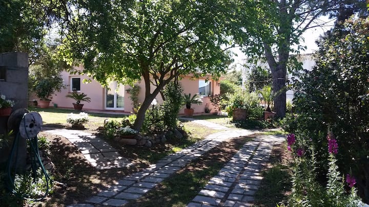 House With Big Garden 2km From Poetto Beach - Quartu Sant'Elena