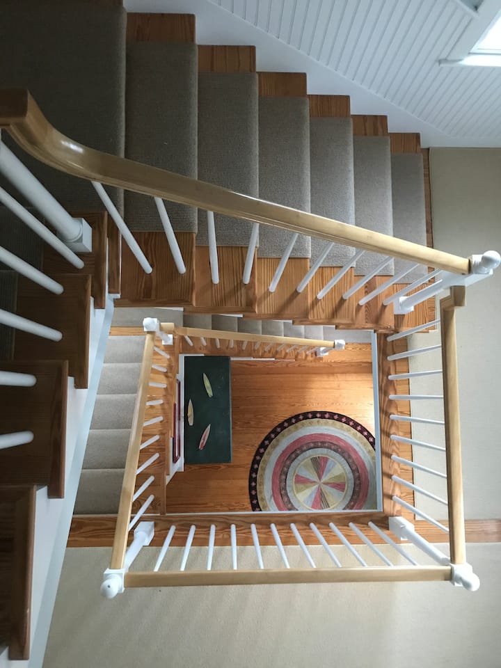 Nantucket Charm- Newly Renovated - Nantucket, MA