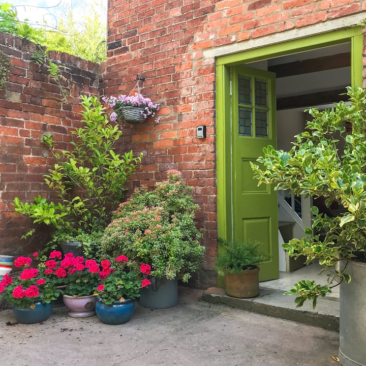 Through The Green Swampy Door - Hereford
