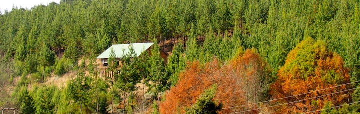 Single Storey Cabin At Stanford Lake Lodge - Haenertsburg