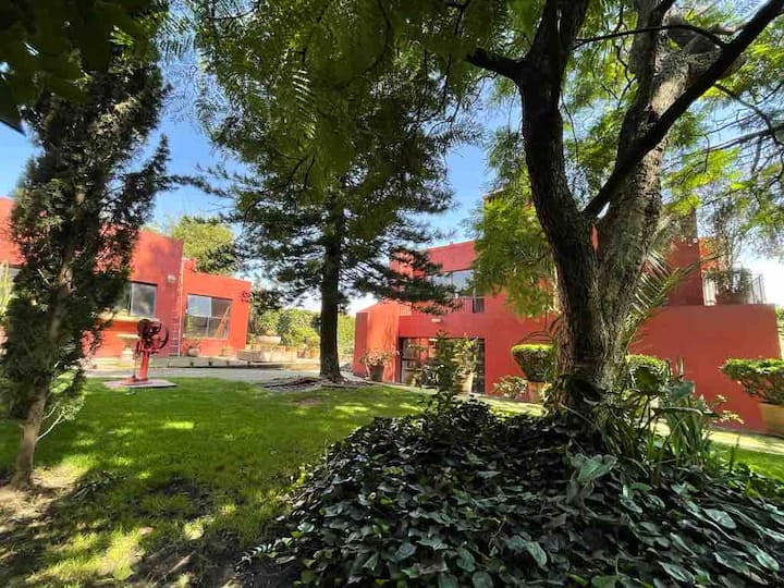 Casa De Los Pajaros - Mexico City