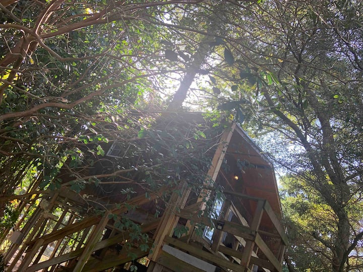 Luxurious Modern Treehouse With Mineral Pool - Jupiter, FL