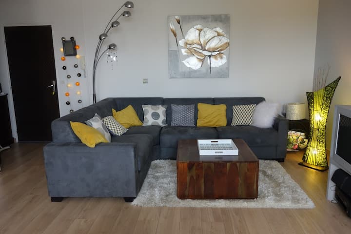 Great Flat 10mn From Ol Stadium ! - Meyzieu