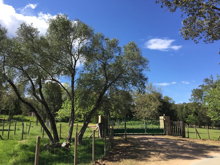 Studio Sur Domaine Privé à 5 Min Plage Porticcio - Bastelicaccia