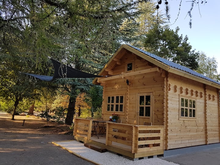 Gite Chalet Sologne 1h30 Paris 30mn Orléans - Lamotte-Beuvron