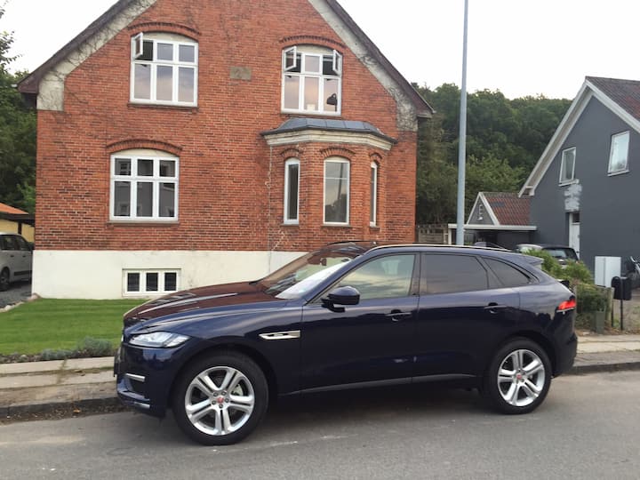 Forrest In The Backyarden And Close To The Zoo! - Odense