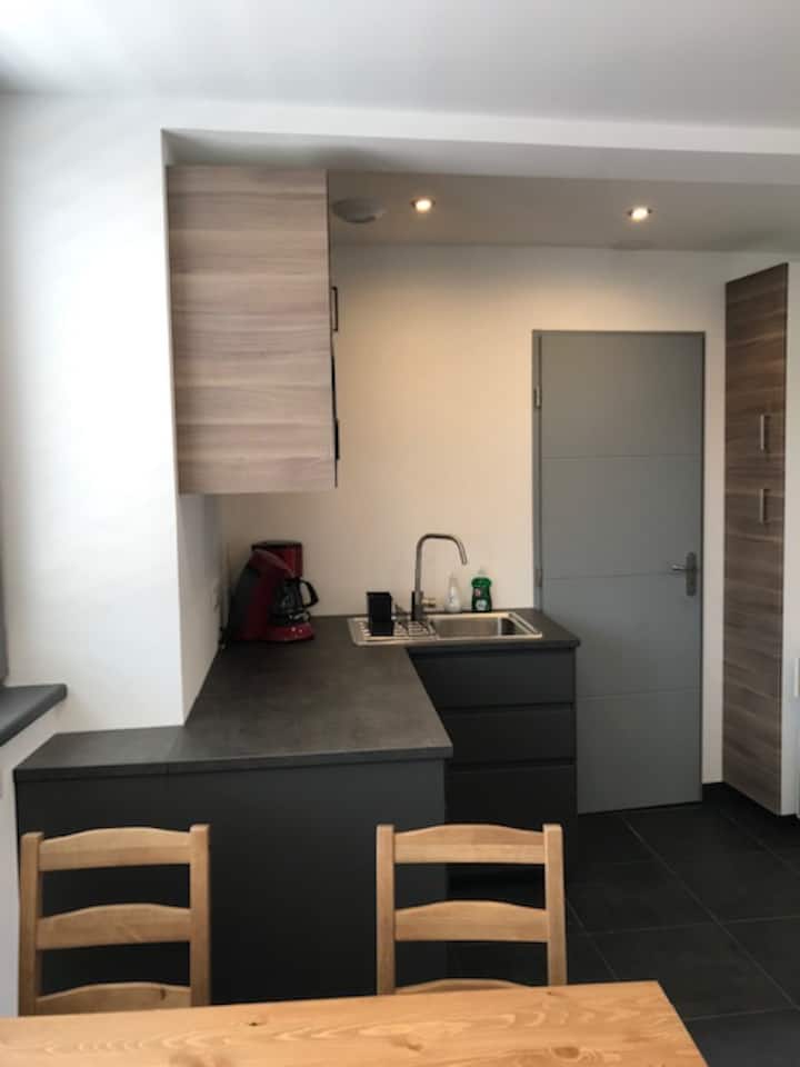 4 Pax "Le 11" T3 Confortable Et Climatisé. - Illkirch-Graffenstaden