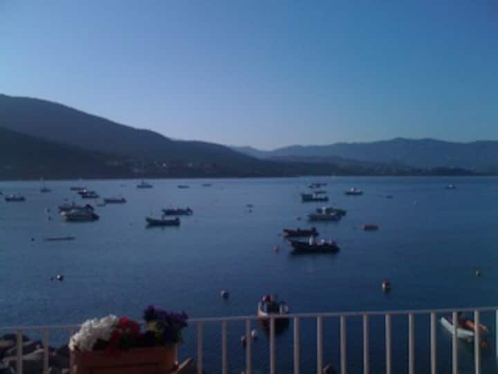 Bel Appartement Sur Le Port Sagone - Cargèse