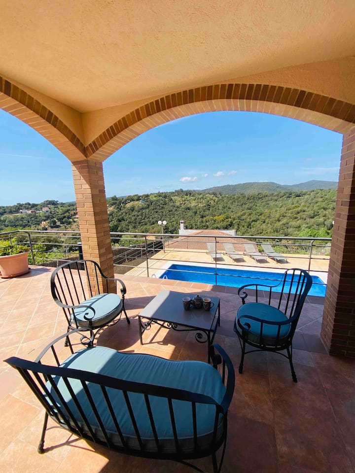 Olive - Lloret de Mar