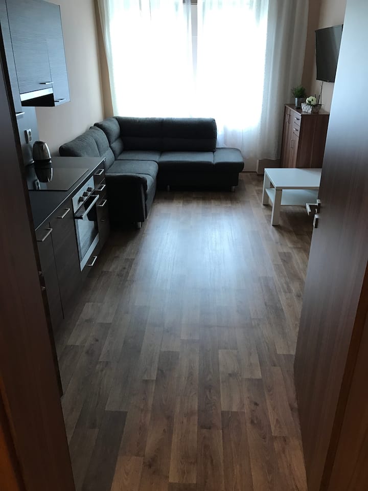 Apartmán 1 - Teplice