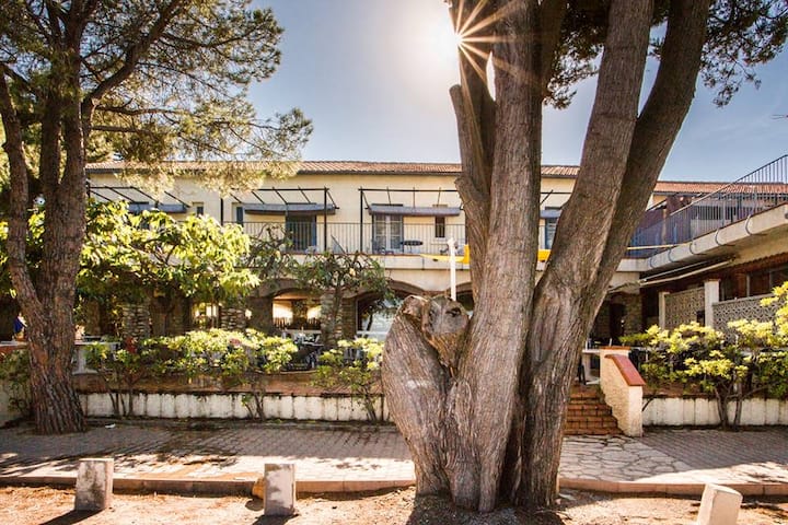 Hôtel Oasis Chambre Double Coté Mer/ Clim/terrasse - Argelès-sur-Mer