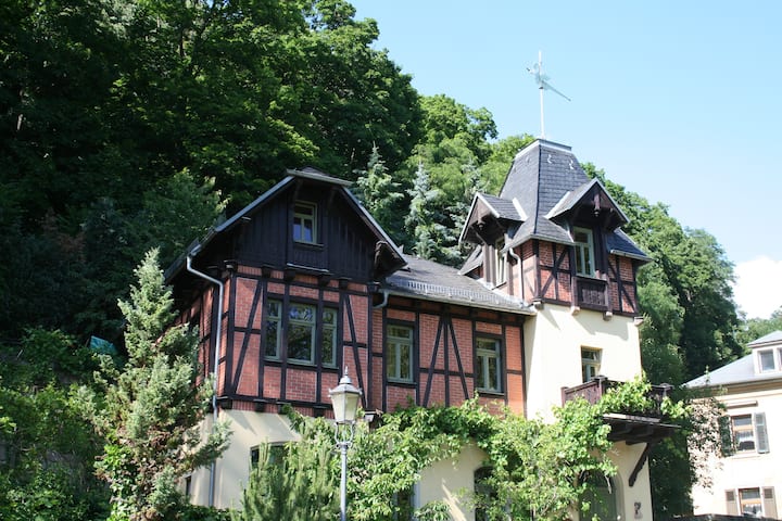 Inmitten Von Stadt Und Natur - Pirna