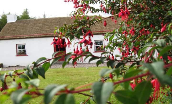 Con's Cottage - Ireland
