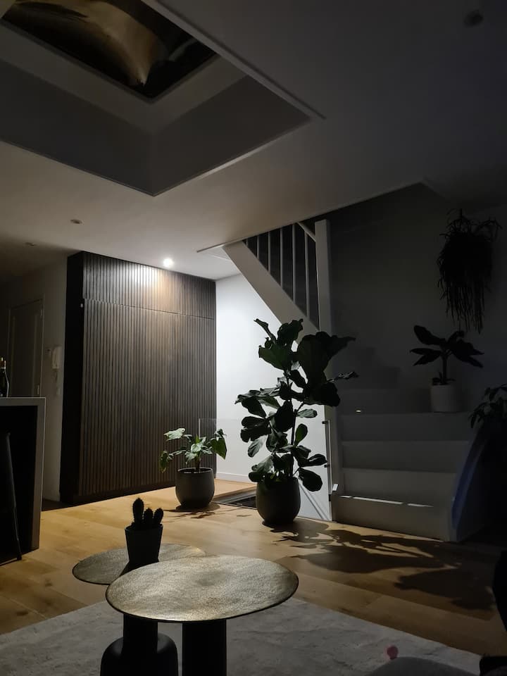 Penthouse - Ams (Center) - Amsterdam