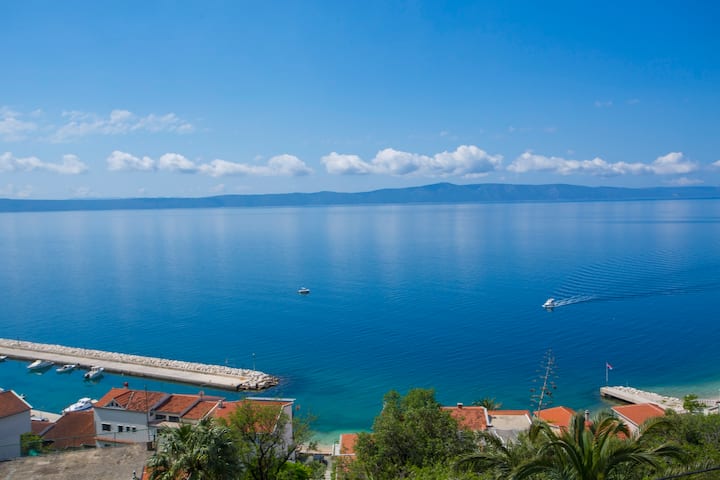 Zeleni - Igrane