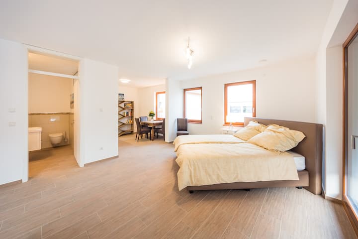 Elmis Boardinghouse Apartment Komfort Xl Ca. 47qm - Ladenburg