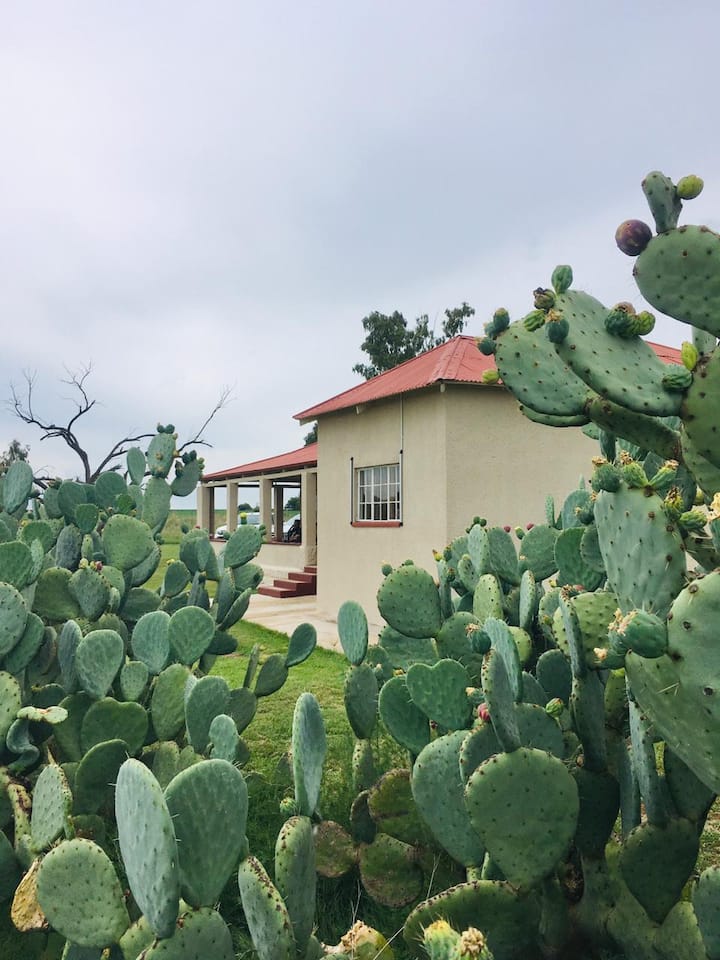 Atamelang Vacation Rentals & Homes - North West, South Africa | Airbnb