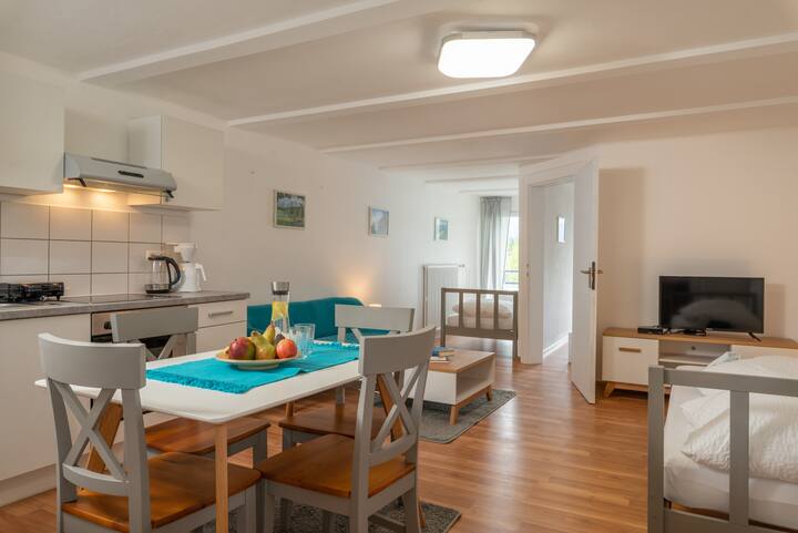 Alpine Hostel Apartment "Economy" B9 - 46sqm - Leogang