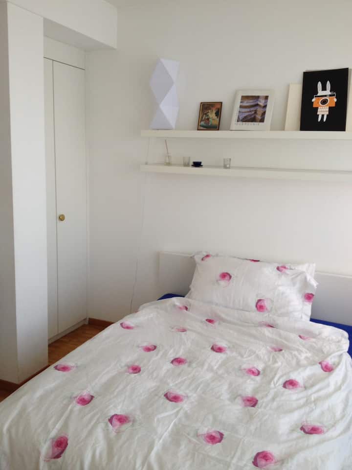 Room In City Centre! - Geneva