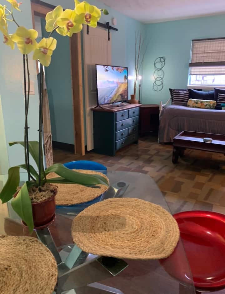Inviting Garden Oasis Near Beach, Port And Shops - Fort Lauderdale, FL
