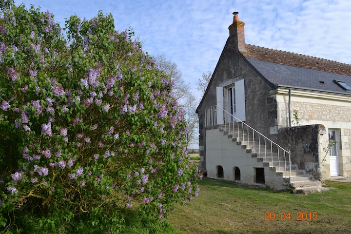 "Etape A Villeperdue" - La Barillonnerie - Sainte-Maure-de-Touraine