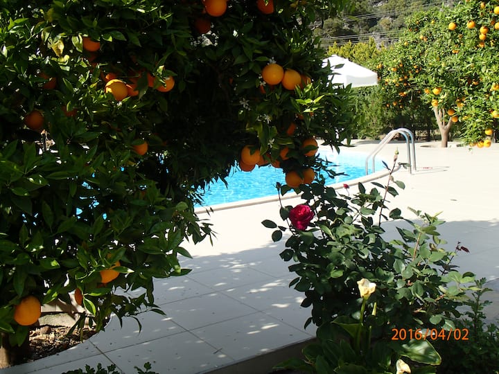 Arcadia Villas Cirali Antalya Turkey - Çıralı