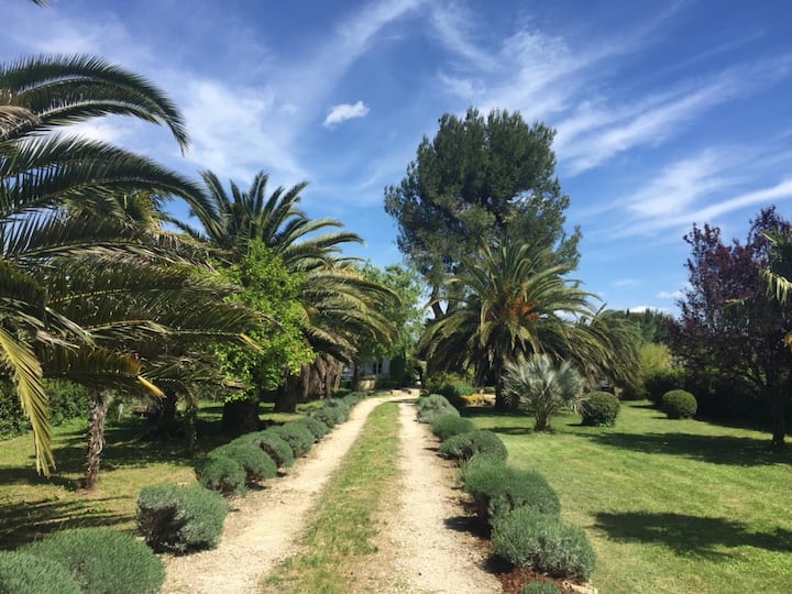 L'oasis En Provence - Beaucaire