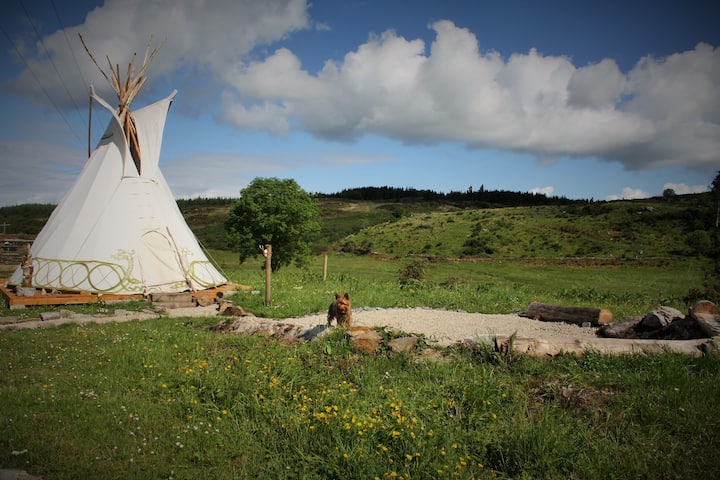 Unique Campsite For Your Own Campervan - Bundoran