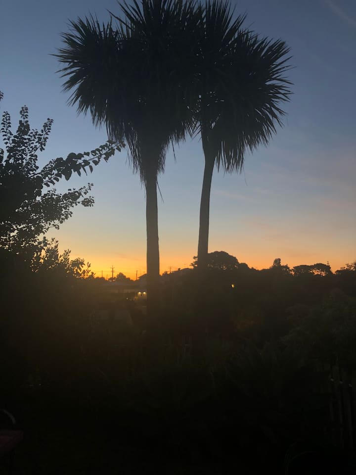 Magical Haven On Manukau - Raglan