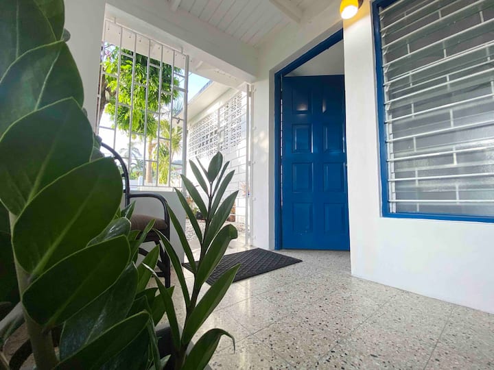 Zizi : Central And Cool Flat In Kingston 6 - Kingston