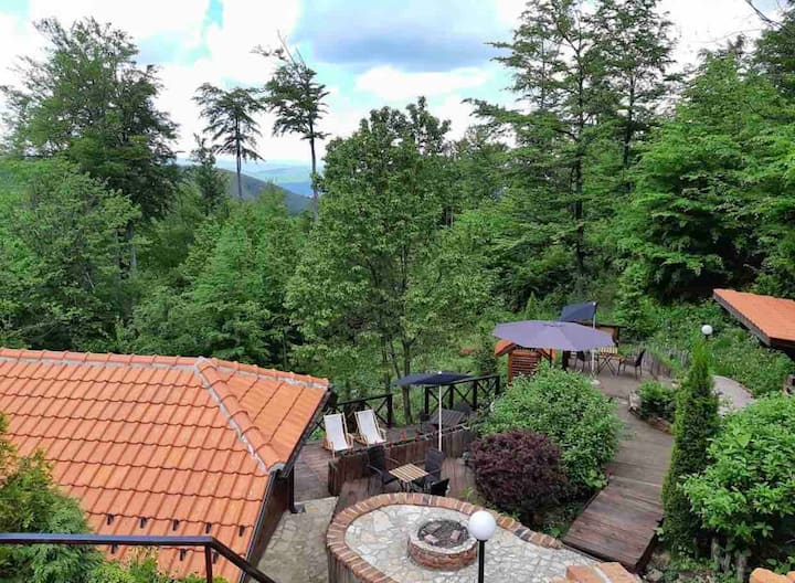 Cozy Wooden Cabin With Mountain View - Zlatibor