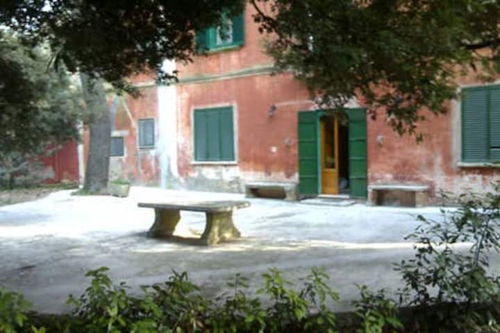 Villa With Swimmingpool (Two Floors) - Massafra