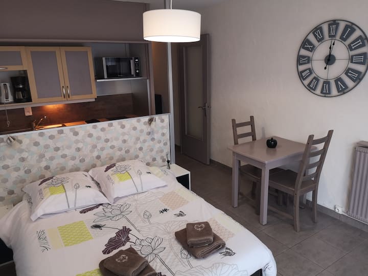 Le Majestic 105. - Aix-les-Bains