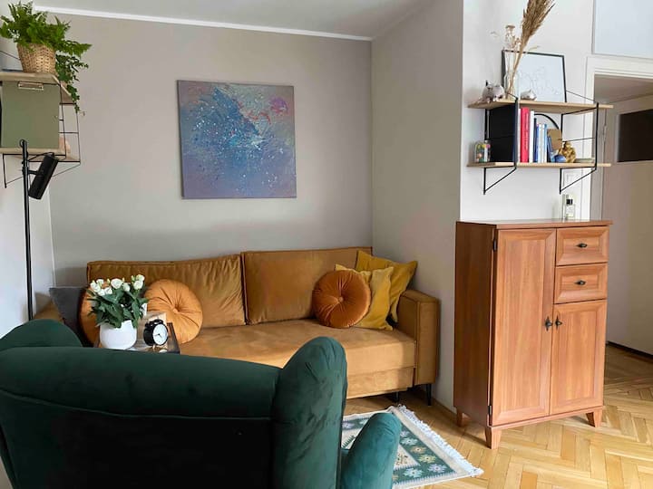 Cozy Flat In The City Centre / Onz - Varsavia
