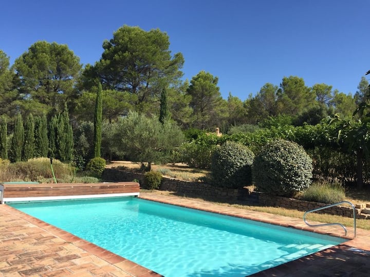 Pinède, Oliviers, Vignes Et Soleil - Cotignac
