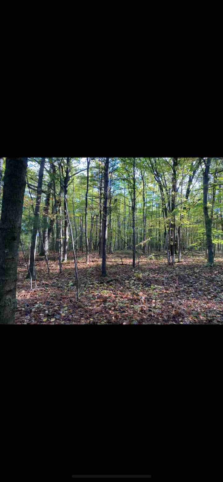 2j's - Hilltop Campsite With Fire Pit - Benzonia, MI