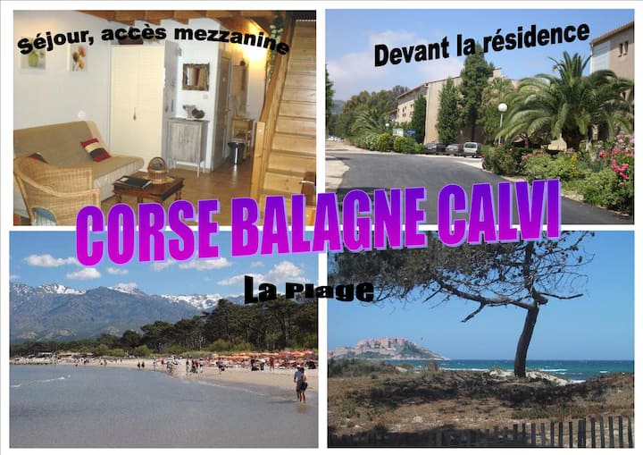 Calvi T2 Bord De Mer, Dans Pinède, Climatisé - Calvi