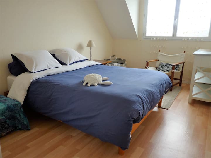Jolie Chambre Et Salle De Bain Ds Appart. - Vannes