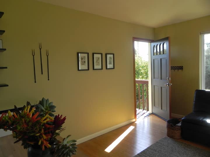 New Modern Light Filled Studio - Santa Cruz, CA