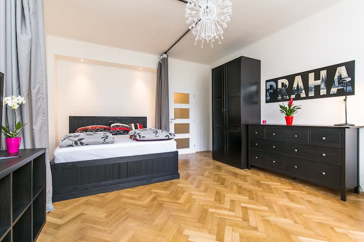 Luxury And Stylish Apartment In Center Of Prague - Praga