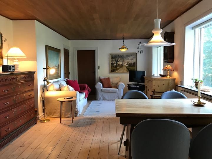 Cosy Danish House For Families - Saltum