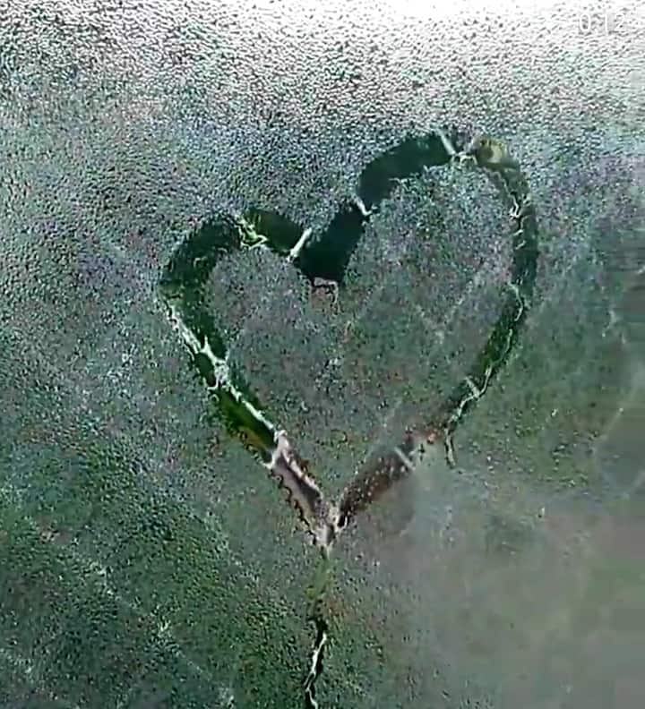 Névoa De Teresópolis ;-) - Teresópolis