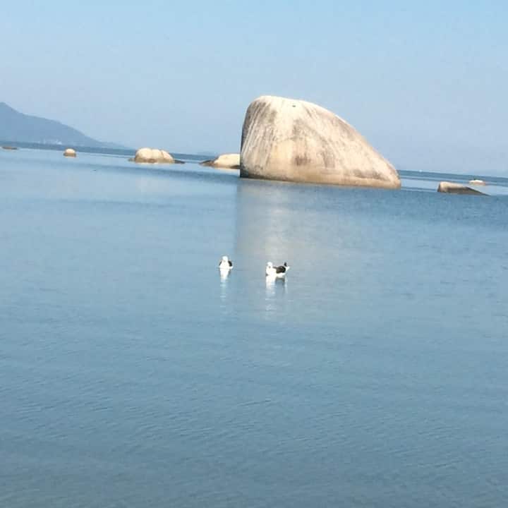Kitnet Praia Coqueiros - Florianópolis