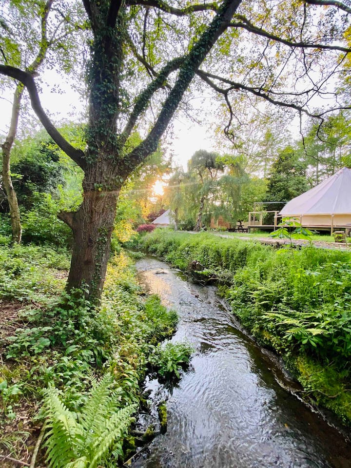 Close To Nature Glamping - Ash - Staffordshire