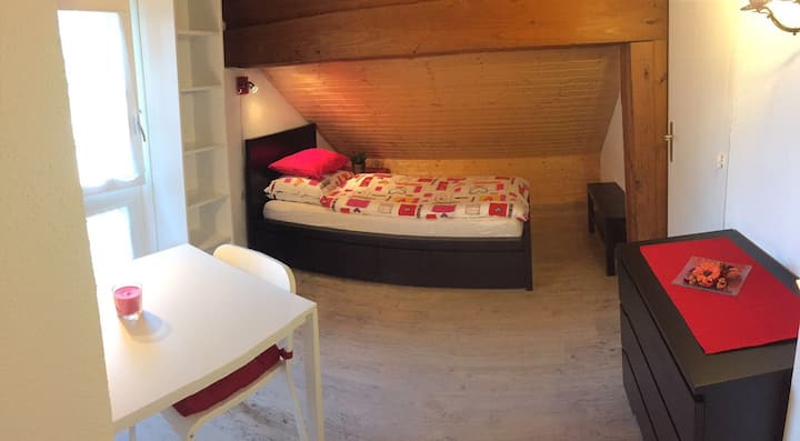 12- Chambre Indépendante Pleine De Charme - Lausanne